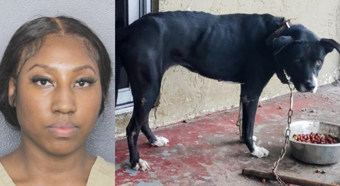 Lauderhill woman charged with aggravated animal cruelty after dog’s ...