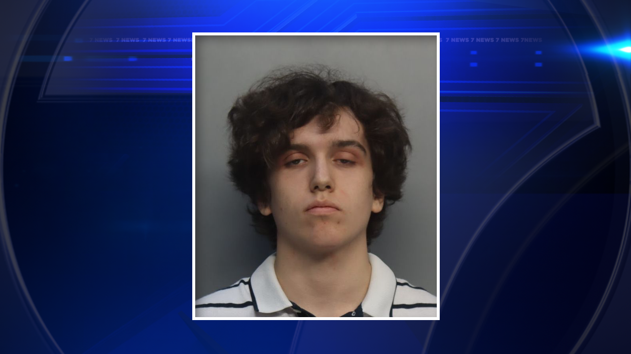 Bond denied for Miami Beach man accused of body slamming mother’s ...