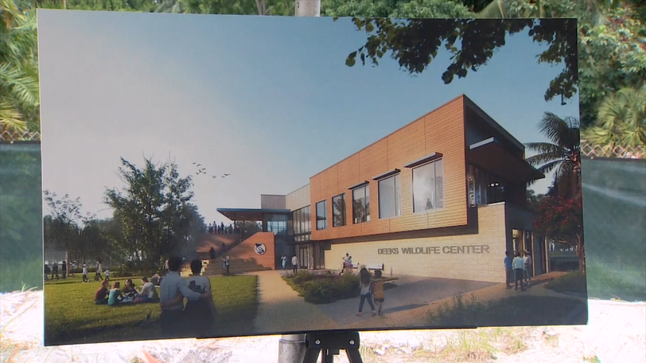 Pelican Harbor Seabird Station unveils new facility in Miami - WSVN ...