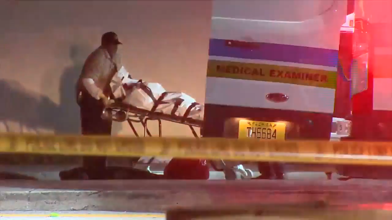 Police search for driver involved in fatal hit-and-run in NW Miami-Dade - WSVN 7News | Miami ...