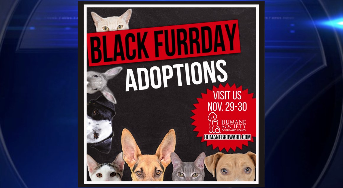 Humane Society of Broward County waives some adoption fees for ‘Black ...