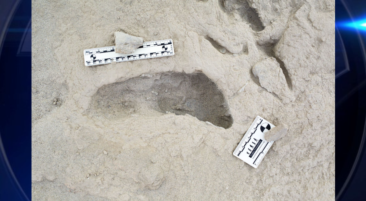 Discovery of fossilized footprints reveals the moment two ancient human ...