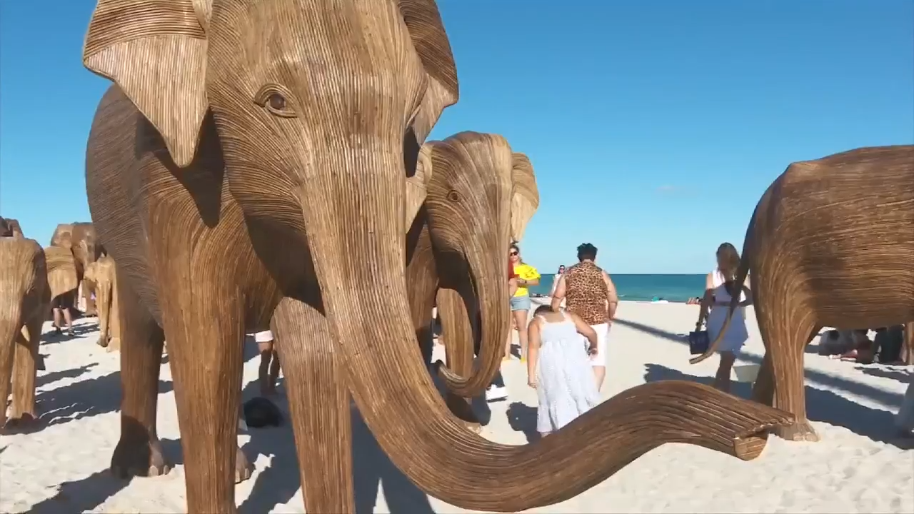Art Week takes over Miami Beach with 100 sculpted elephants and ...