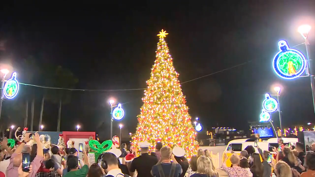 Bayfront Park illuminates for the holidays with Christmas tree lighting ...
