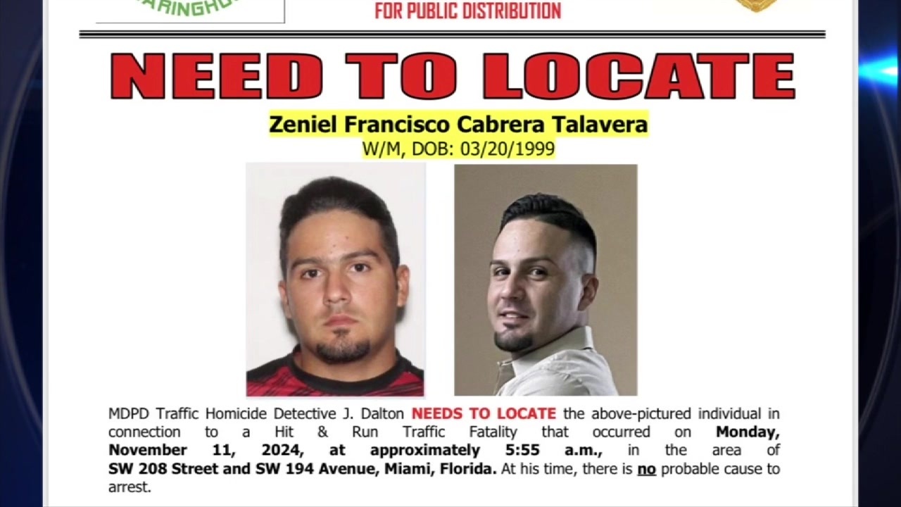 Woman pleads public to find driver responsible in hit-and-run that ...