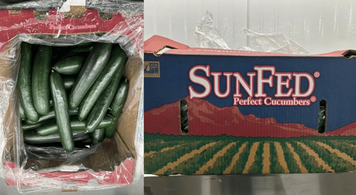SunFed recalls cucumbers in US and Canada due to potential salmonella ...