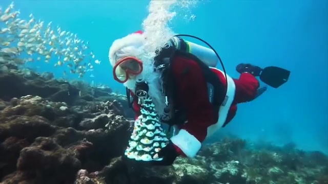Santa, ‘elf-fish’ helper pose with divers at marine sanctuary near Key ...