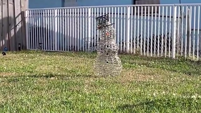 Police surprise Boynton Beach woman with new Christmas decoration after ...