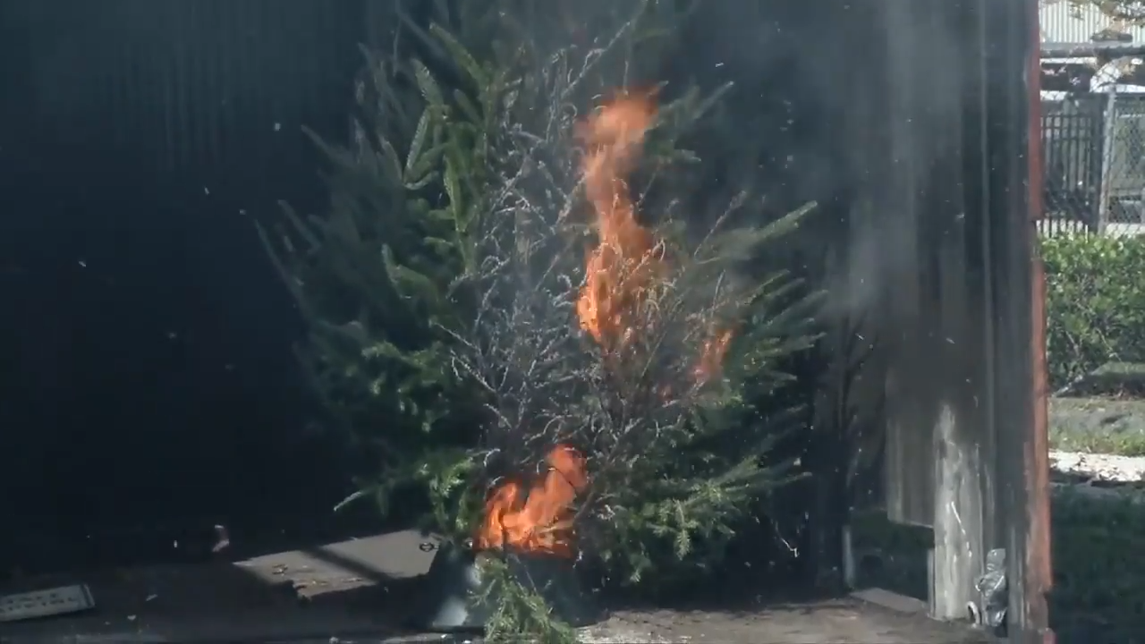 Broward Sheriff Fire Rescue officials give tips on preventing Christmas ...