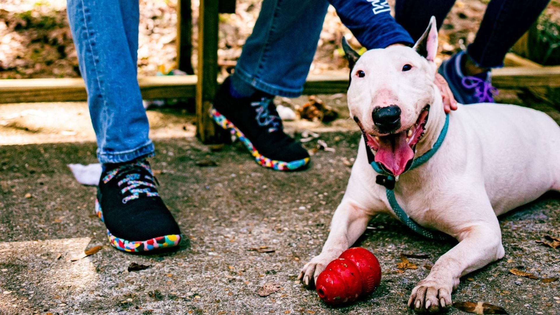 Trooper, dog rescued by FHP trooper after being found tied to fence off ...