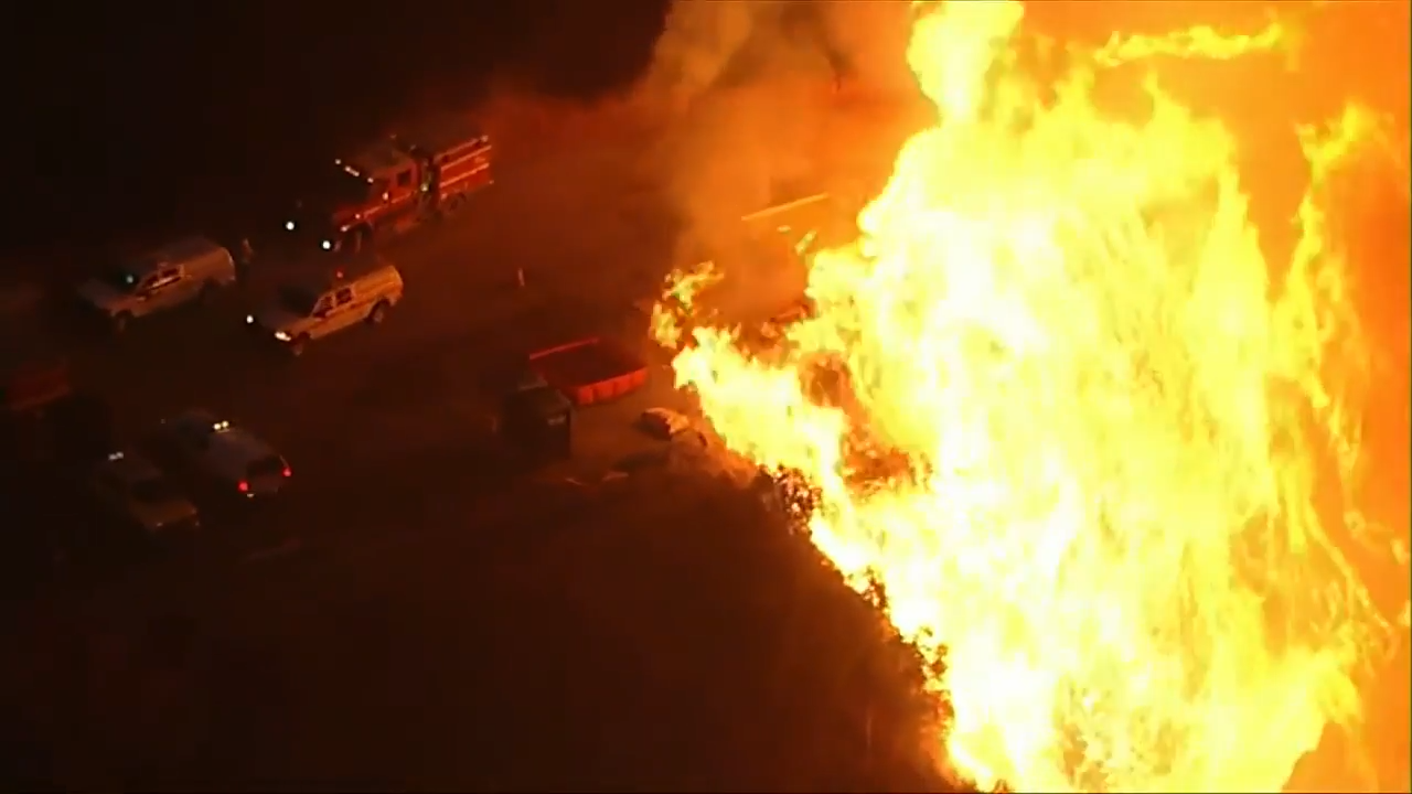 Californians scrambled to evacuate dogs, cats, horses, even pigs as LA flames closed in - WSVN ...