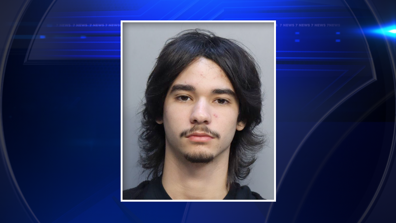 ‘It’s a joke’: Teen bonds out of jail after making alleged bomb threat ...