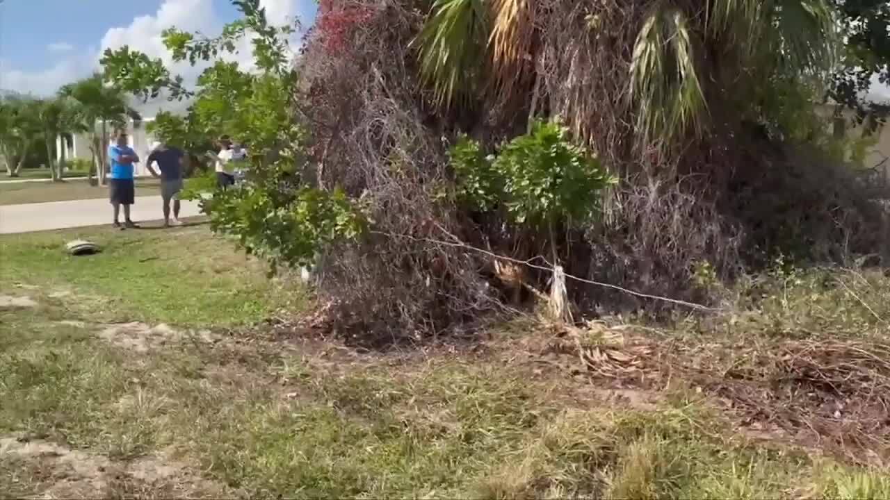 Surveillance footage showcases the moments a reckless driver crashes ...