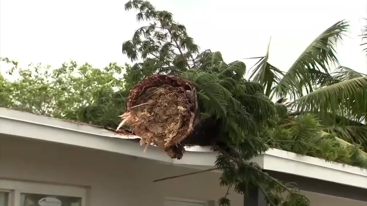 Homeowner reacts after tree falls on Fort Lauderdale home following bad ...