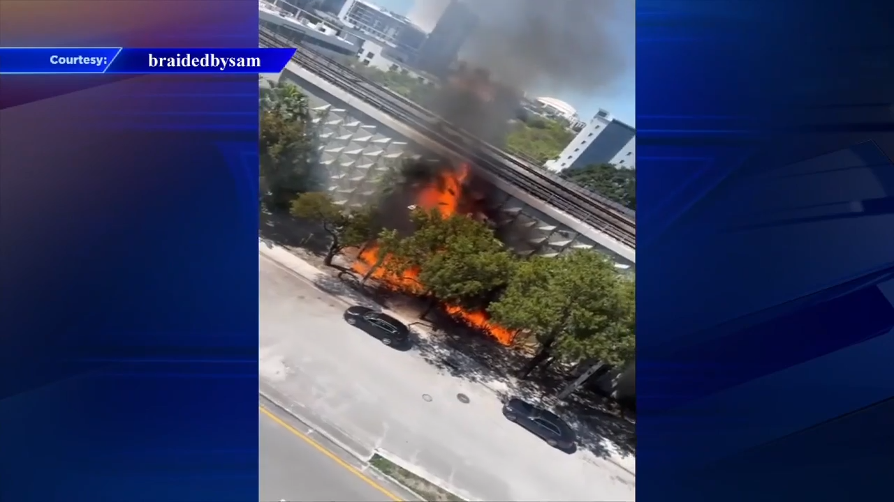 Fire crews extinguish brush fire in downtown Miami - WSVN 7News | Miami ...