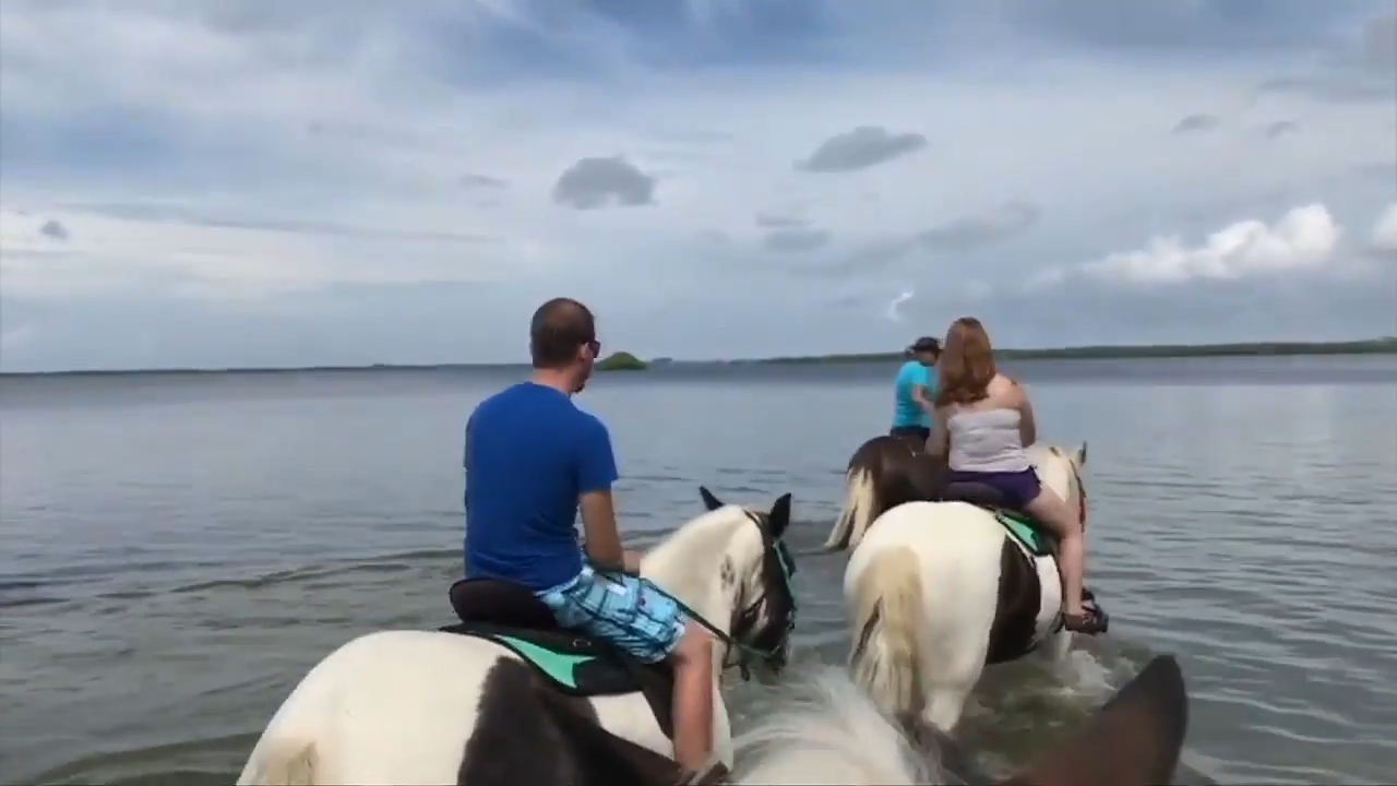 2 hospitalized after spooked horses throw off riders during horseback ...