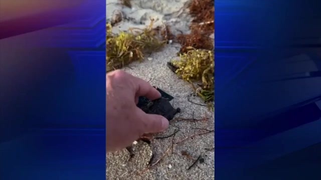 Tar balls wash ashore on South Florida beaches, but the source of the ...