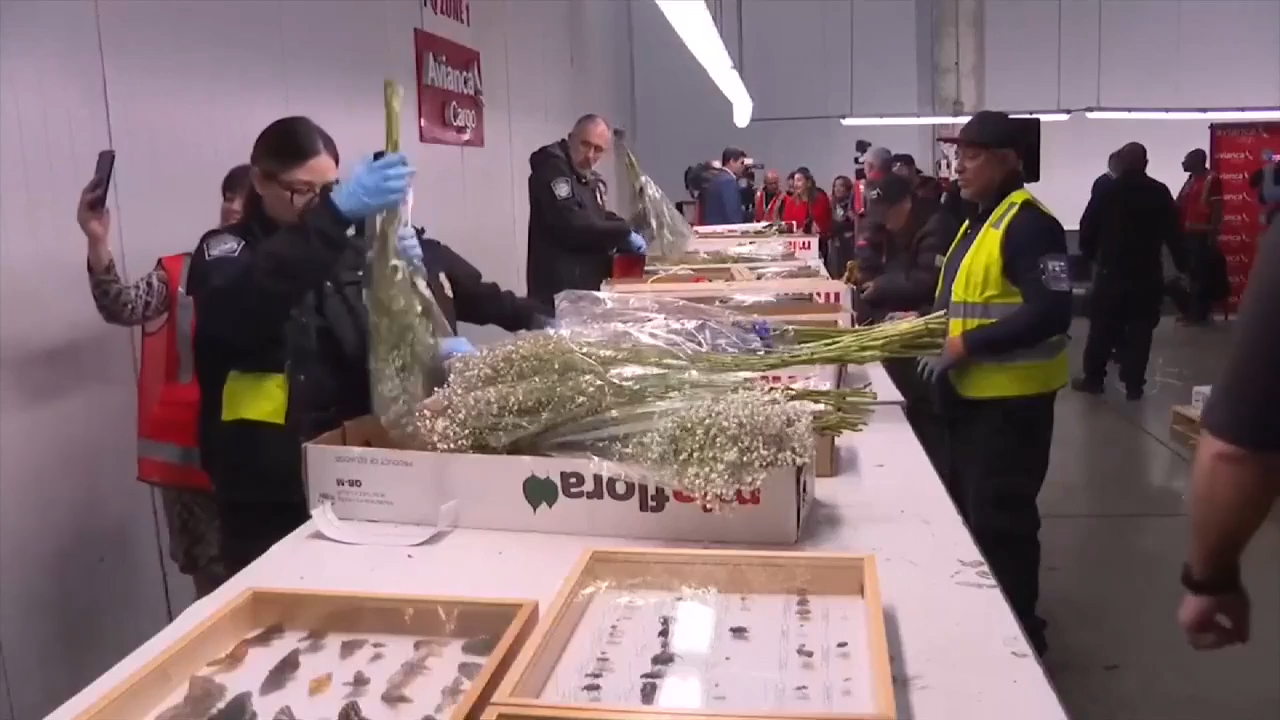 Roses are red, violets are blue, 940 million flowers are traveling ...