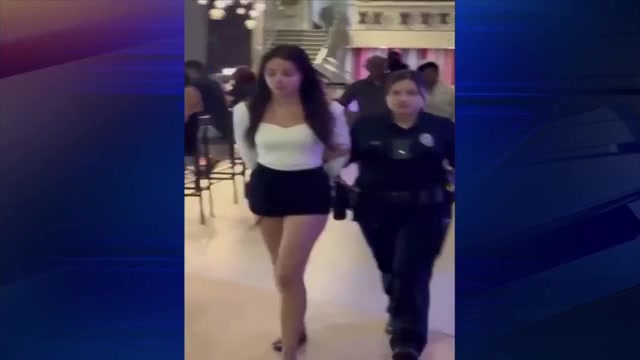 Woman arrested, placed in ICE custody stole $850K in TrumpCoin from ex ...