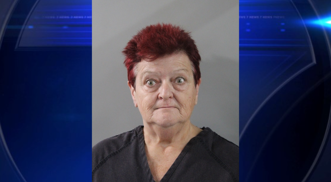 Florida woman who runs a pet taxi business arrested on animal cruelty ...
