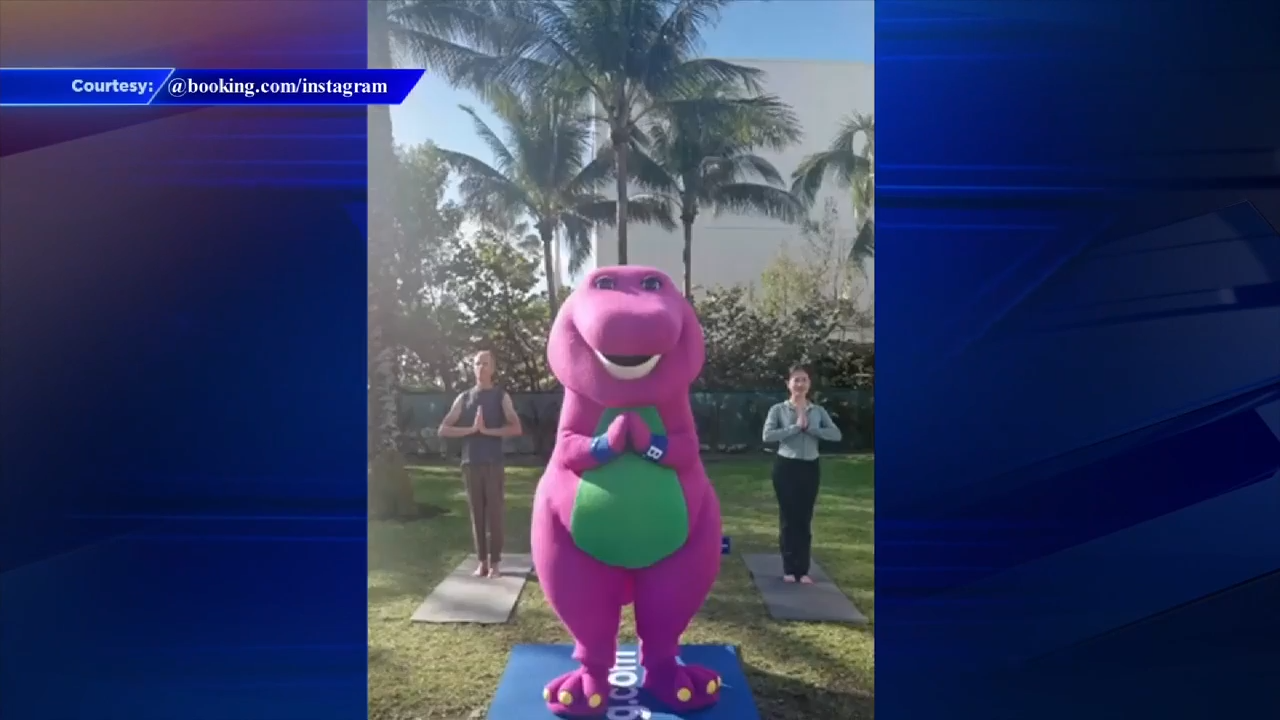 Barney takes self-care trip to Miami courtesy of Booking.com - WSVN ...