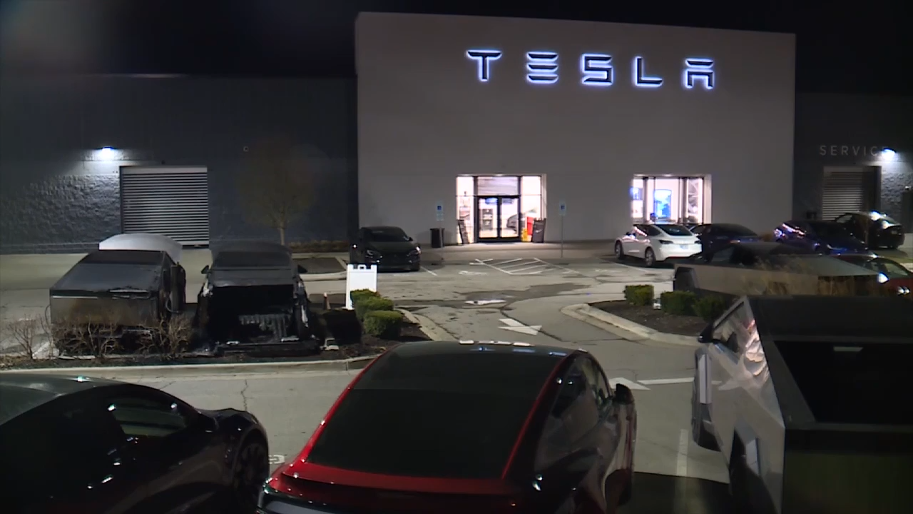 Man drives car into protesters outside a Tesla dealership, nobody hurt ...