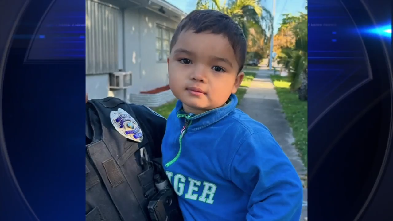 Police: Young boy found wandering alone in Hollywood reunited with ...