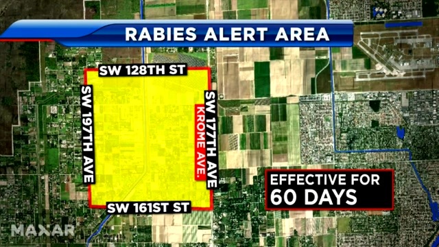Rabies alert issued in SW Miami-Dade after horse tests positive ...