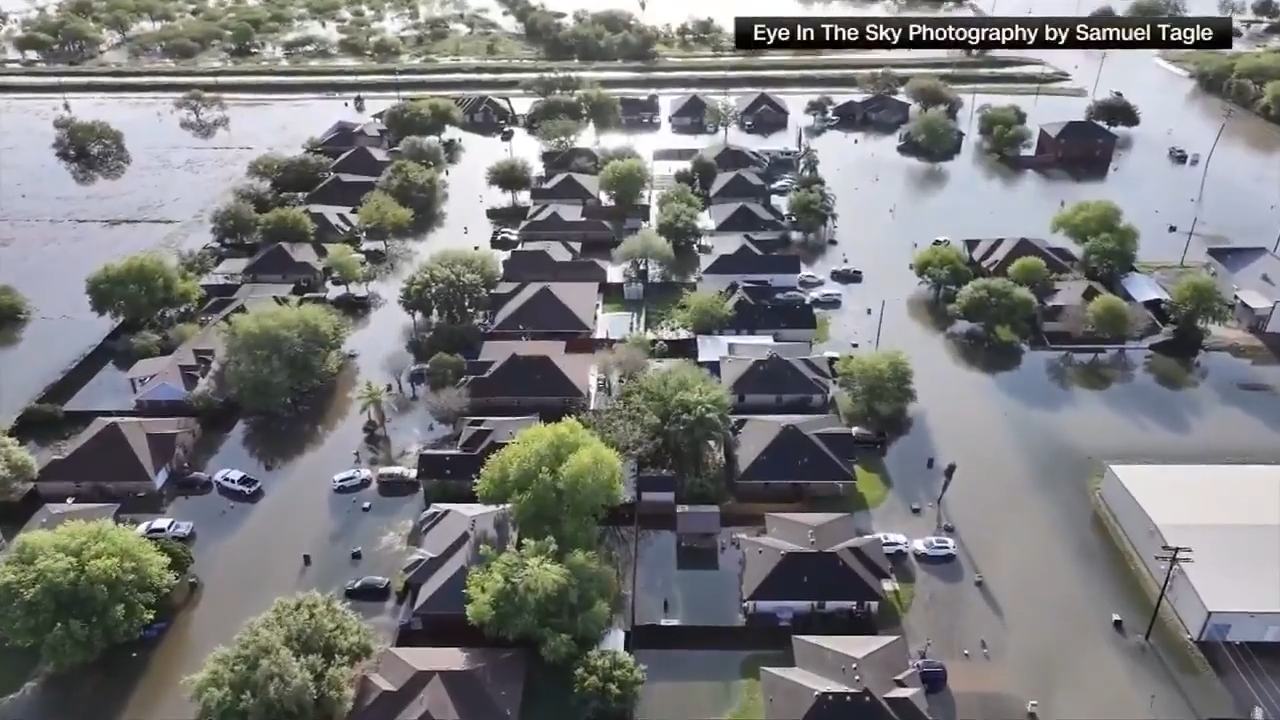 3 killed when tree hits vehicle in Michigan and damage reported in ...