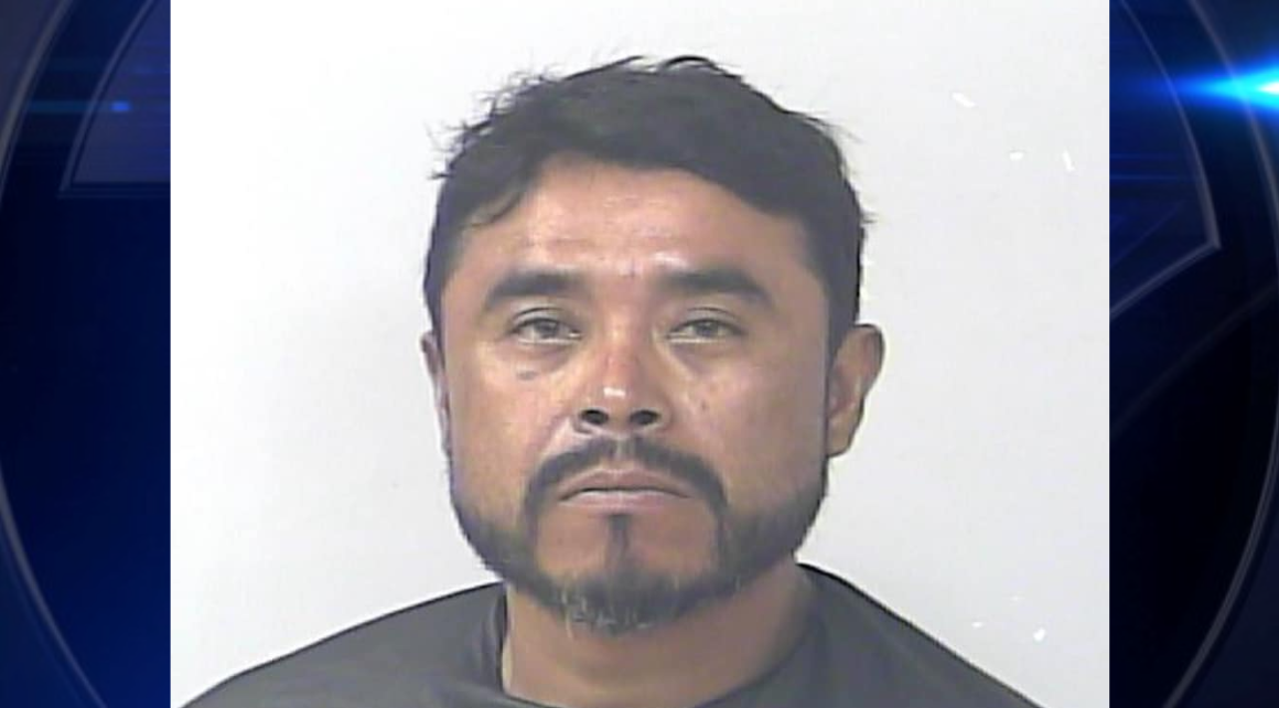 Florida man facing animal cruelty charges after 2 dogs found hanging ...