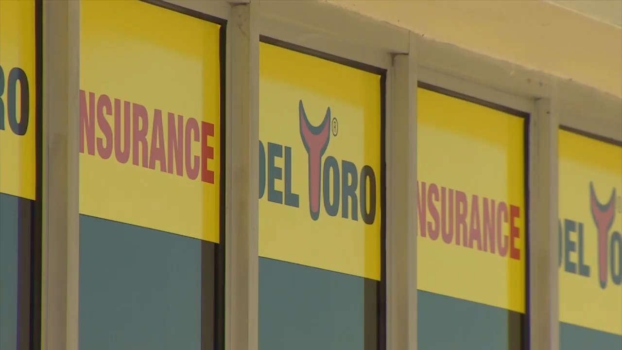 2 dead in apparent murder-suicide inside Del Toro Insurance office in ...