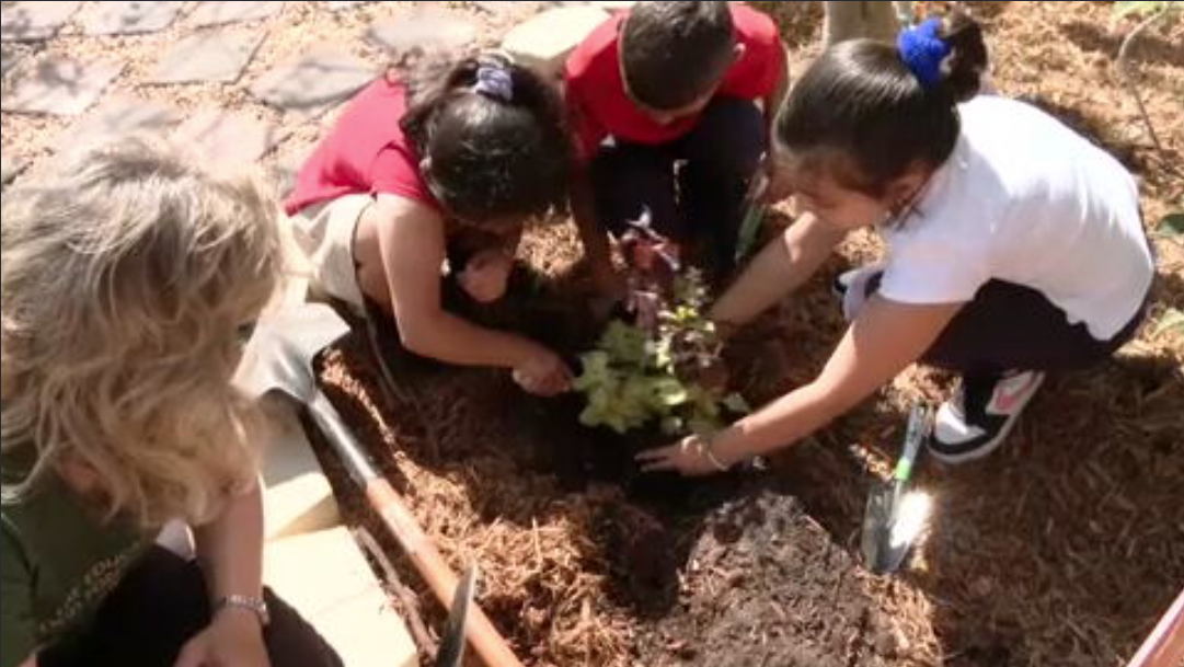 Young students plant native trees in food forest for Earth Day event in ...