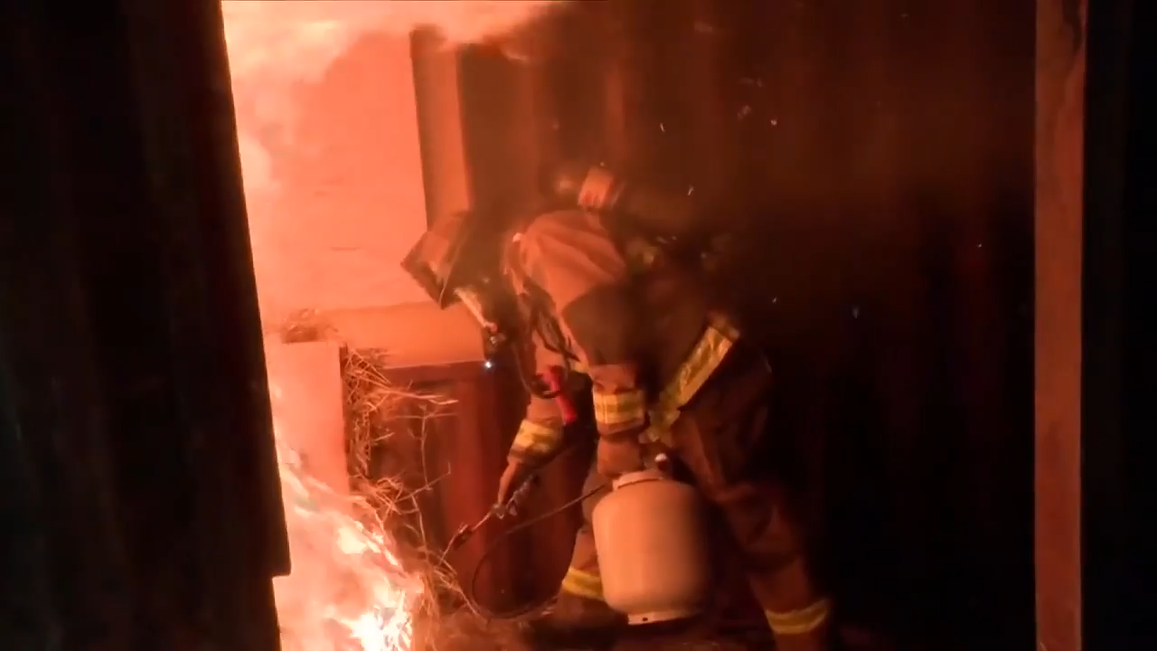 35 firefighter trainees and 7’s Nicole Linsalata feel the heat of the ...