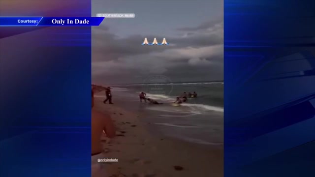Crews rescue 5 caught in rip current during nighttime swim off South ...