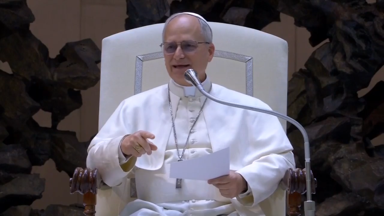 JD Vance gives Pope Leo XIV an invitation from Trump to visit US - WSVN ...