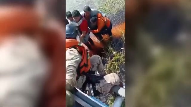 Alligators, snakes, biting insects: Small plane crash survivors recall ...