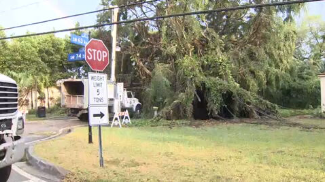 Stormy weather uproots large tree in South Miami, floods streets across ...