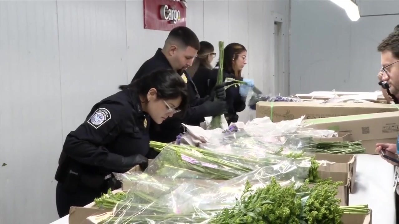 Miami-Dade – Page 3 – WSVN 7News | Miami News, Weather, Sports | Fort ...