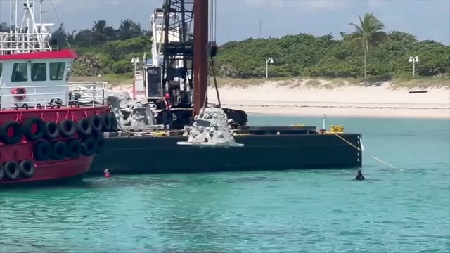 Hollywood to add artificial reef near shore in partnership with Ocean ...