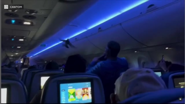 Delta flight delayed because 2 pigeons sneaked aboard a plane in ...