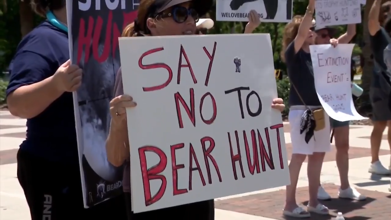 More than 160,000 apply for Florida’s first bear hunt in a decade ...