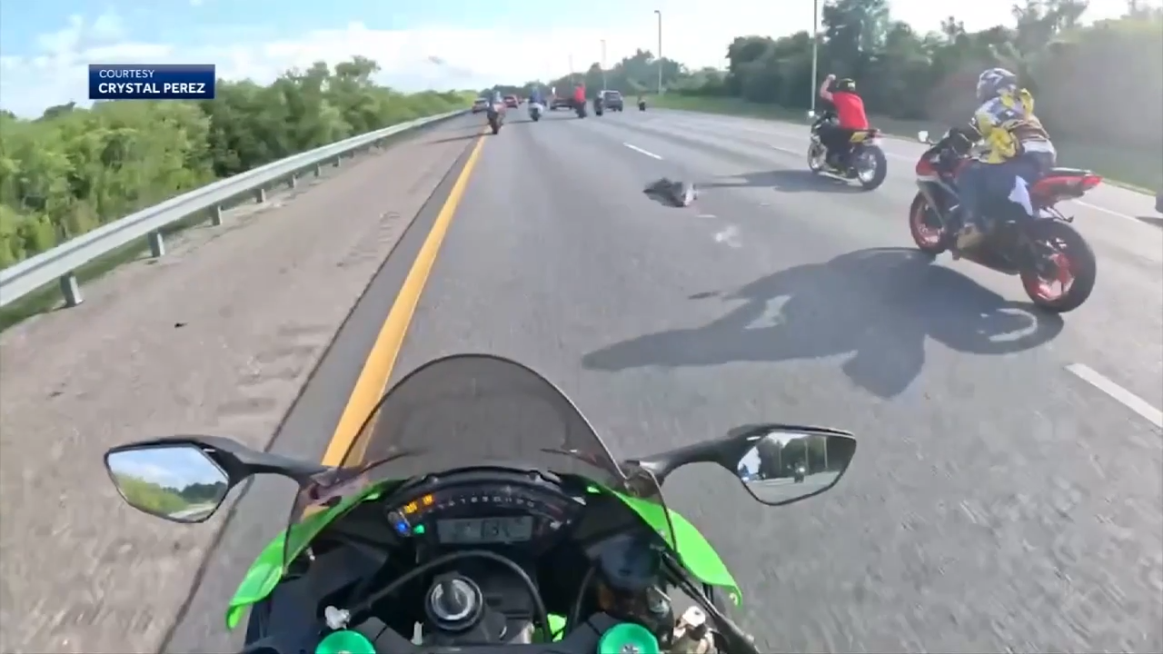 Two Florida bikers fall off vehicles after running into alligator on ...