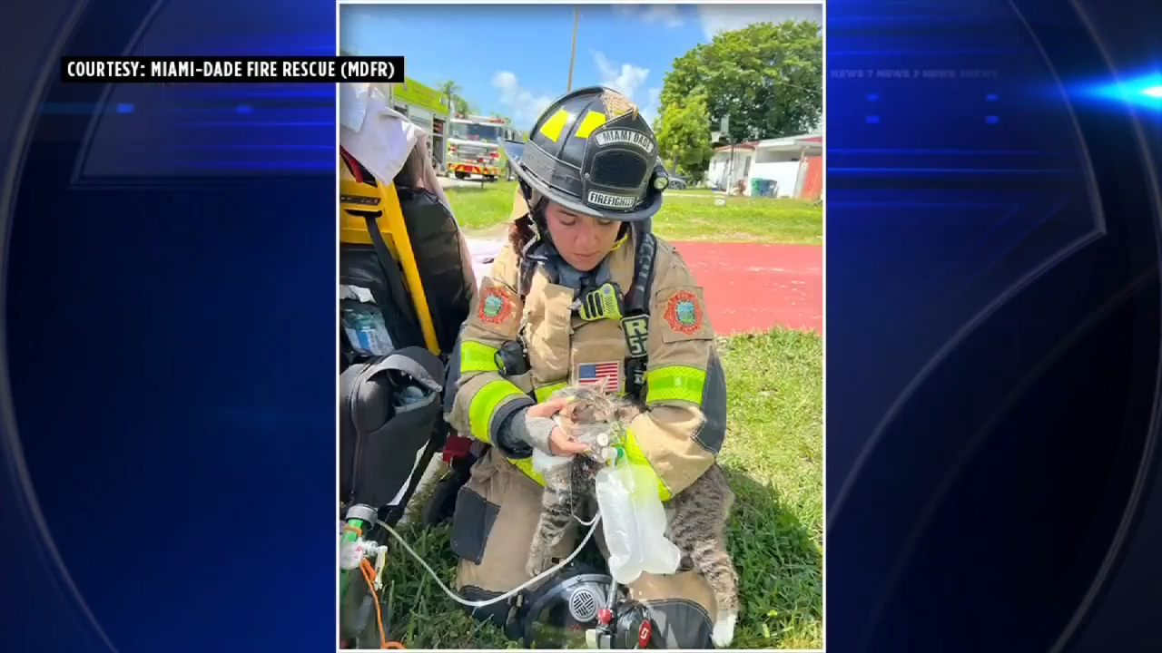 Home - WSVN 7News | Miami News, Weather, Sports | Fort Lauderdale