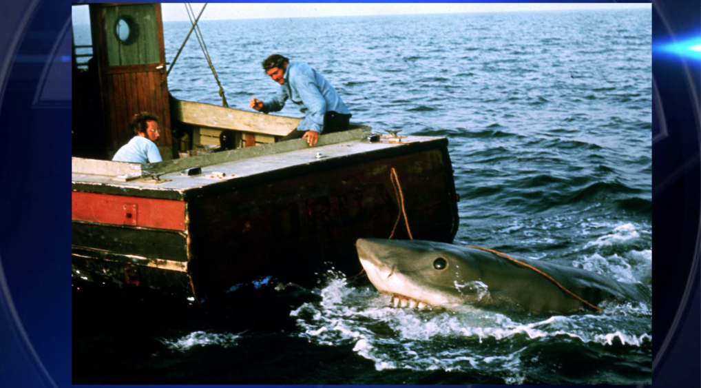 ‘Jaws’ turns 50. It changed pop culture and our perception of sharks - WSVN 7News | Miami News ...