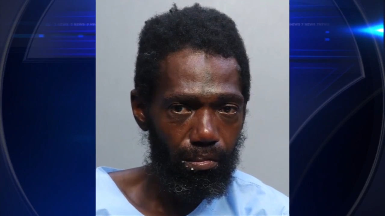 Man accused of pushing woman in Miami River identified, set to appear ...