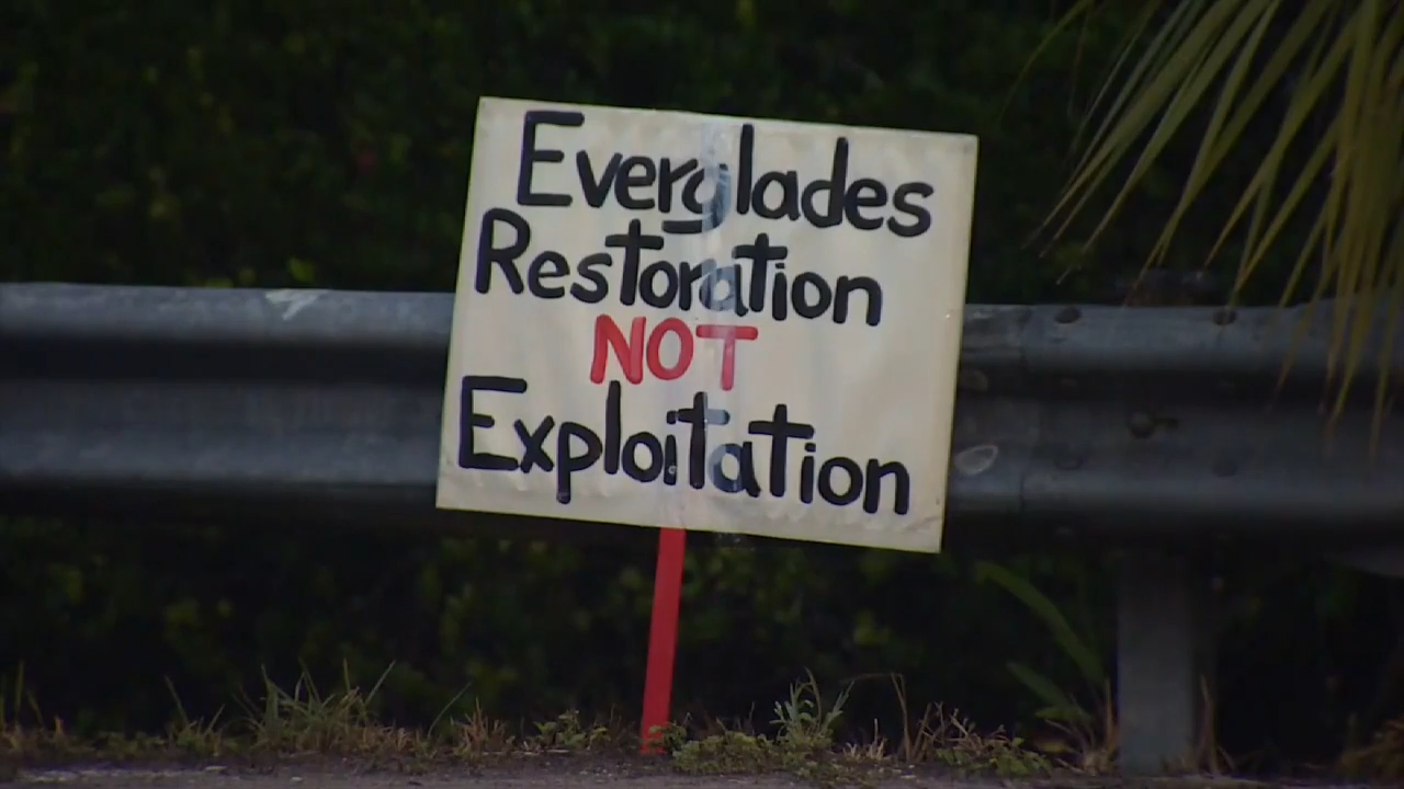 Protesters line highway in Florida Everglades to oppose ‘Alligator ...