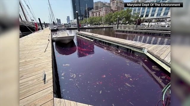 Crews clean up 2,000-gallon fuel spill in Baltimore’s harbor - WSVN 7News | Miami News, Weather ...