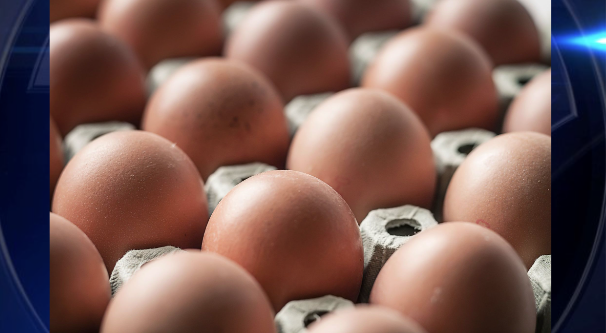 Salmonella outbreak linked to eggs sickens dozens of people across 7 ...