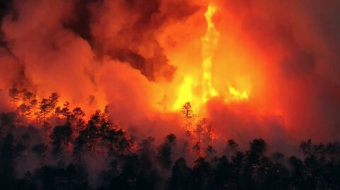 Wildfire burning in Wharton State Forest, New Jersey Forest Fire Service says - WSVN 7News ...