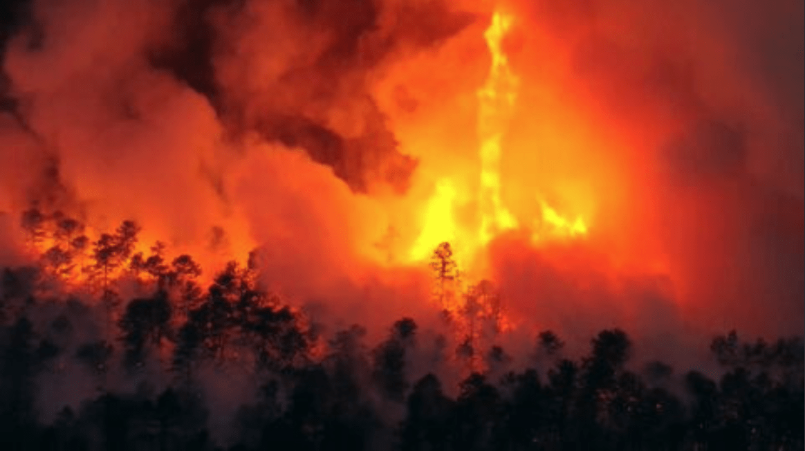 Wildfire burning in Wharton State Forest, New Jersey Forest Fire ...